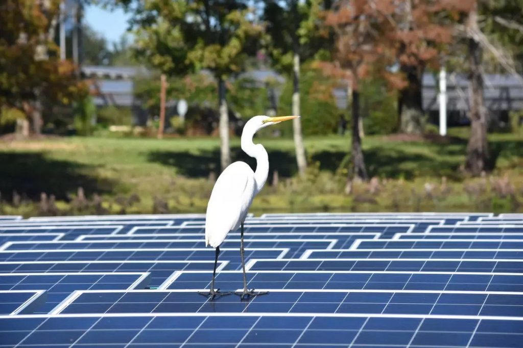 How Solar Power Might Help Our Planet - Illinois Renewables